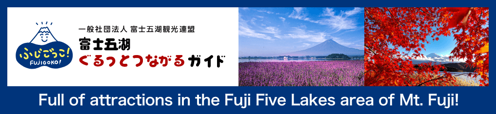 Fuji Sanroku Electric Railway Fujikyu Rail & Bus Pass | Jorudan Mobile ...