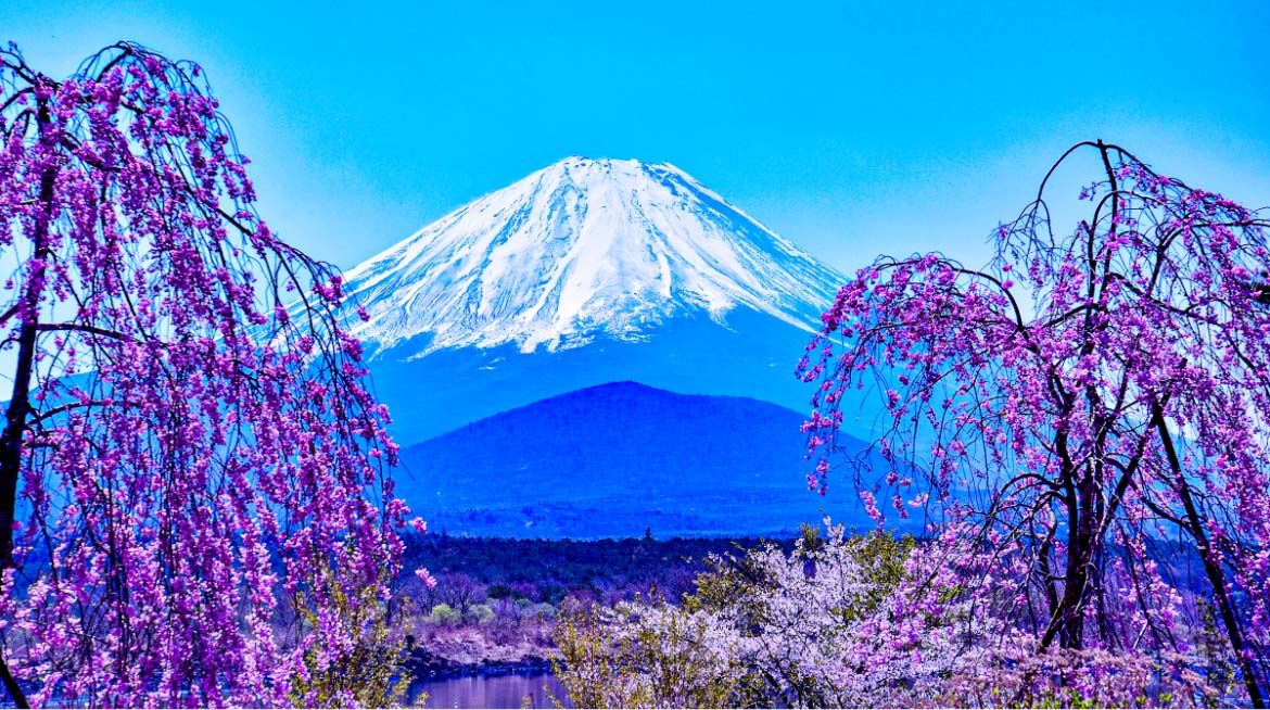 Fuji Sanroku Electric Railway Fujikyu Rail & Bus Pass | Jorudan Mobile ...