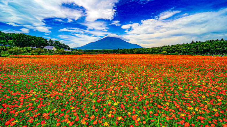 Fujikyu Bus Fujiyoshida･Oshino･Yamanakako area PASS | Jorudan Mobile ...