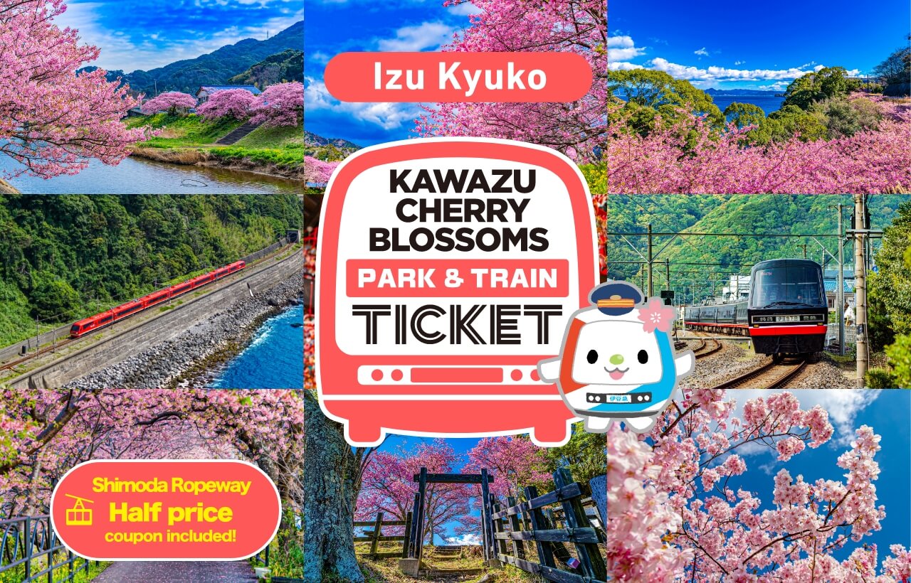 Izu Kyuko Kawazu Cherry Blossoms Park & Train Ticket | Jorudan Mobile ...